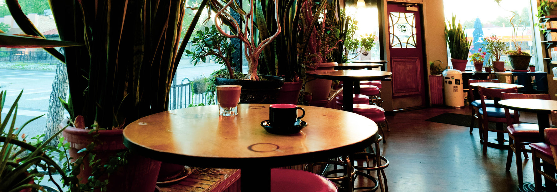 Pablos Coffee Online Store – Pablo's Coffee